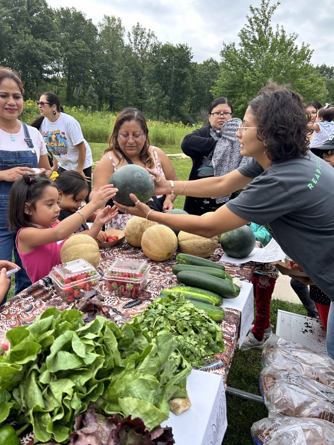 Farms to Families - REAP Food Group